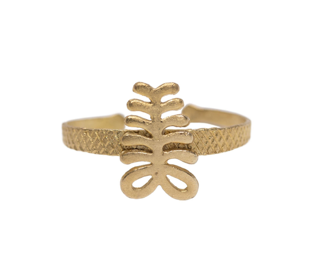 Aya Fern Bangal | The Akan Index